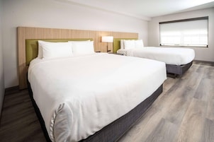 Roupas de cama premium, edredons de pluma, cofres nos quartos
