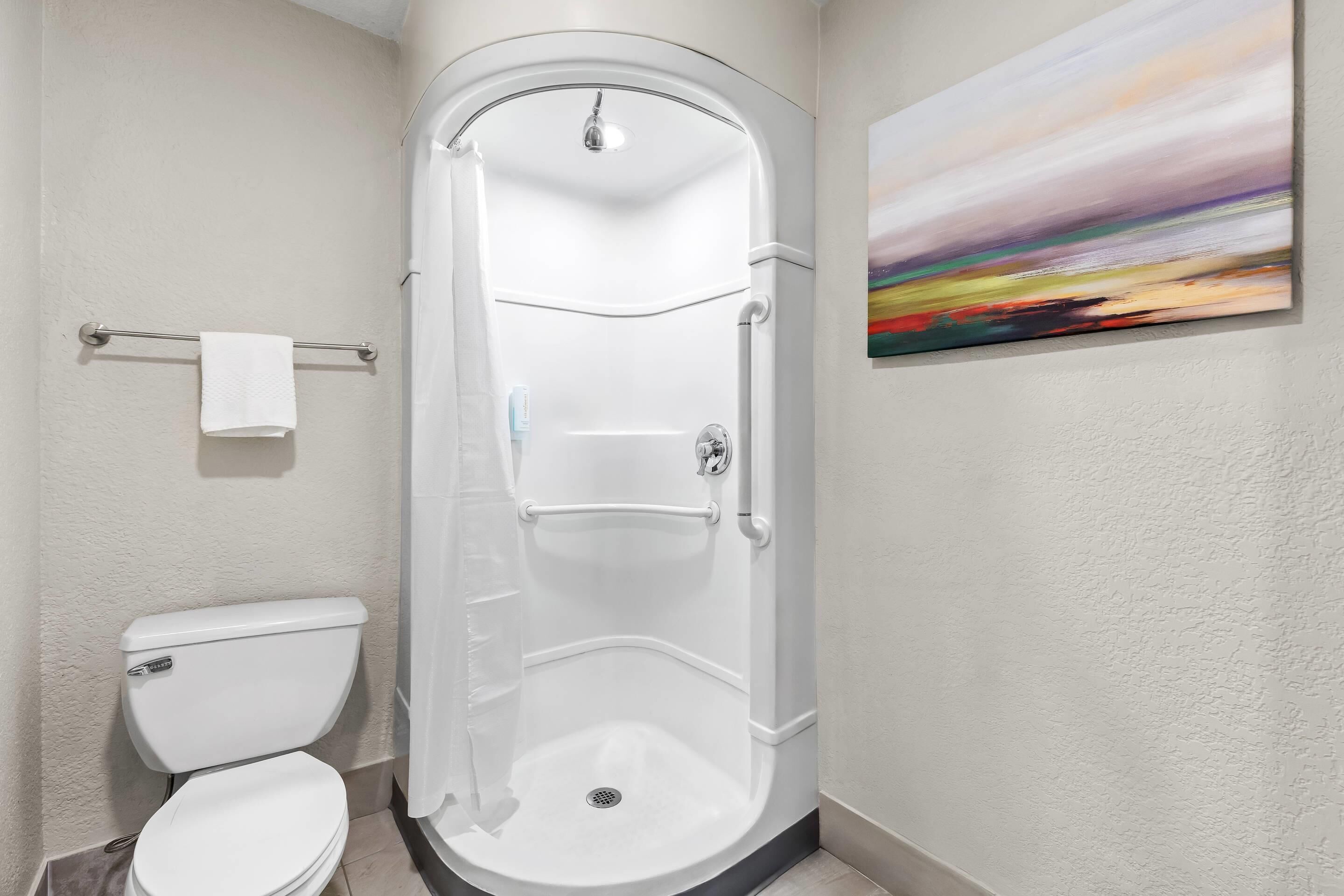 Um banheiro com vaso sanitário branco, box de chuveiro e um quadro na parede.