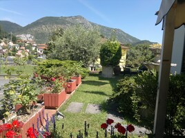 Um jardim com diversas plantas e flores, um caminho de pedra e vista para uma montanha ao fundo.