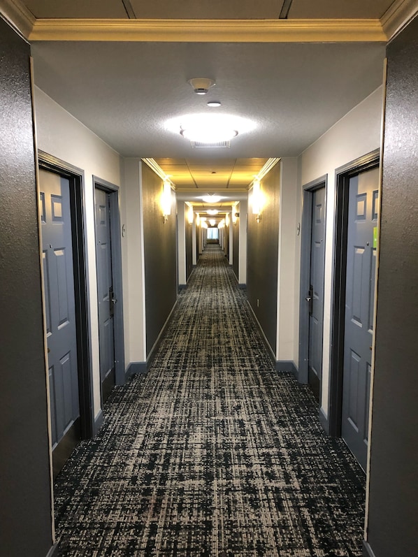 Um corredor de hotel com piso carpeteado, portas em ambos os lados e iluminação no teto.