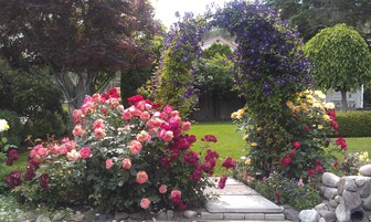 Área da propriedade