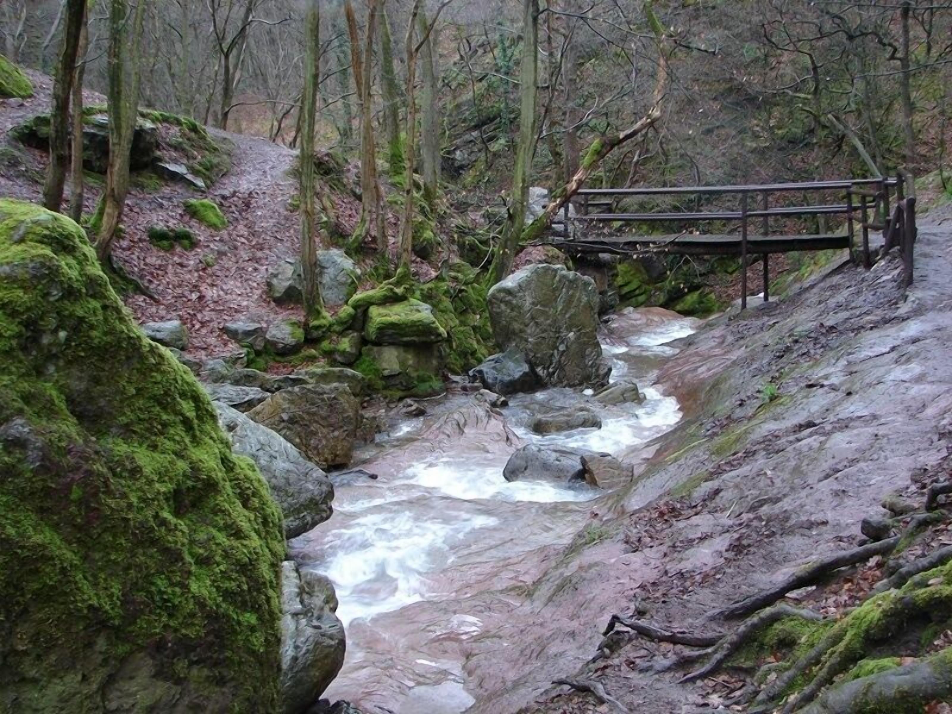Uma área arborizada com um riacho pedregoso, uma ponte de madeira e um banco.