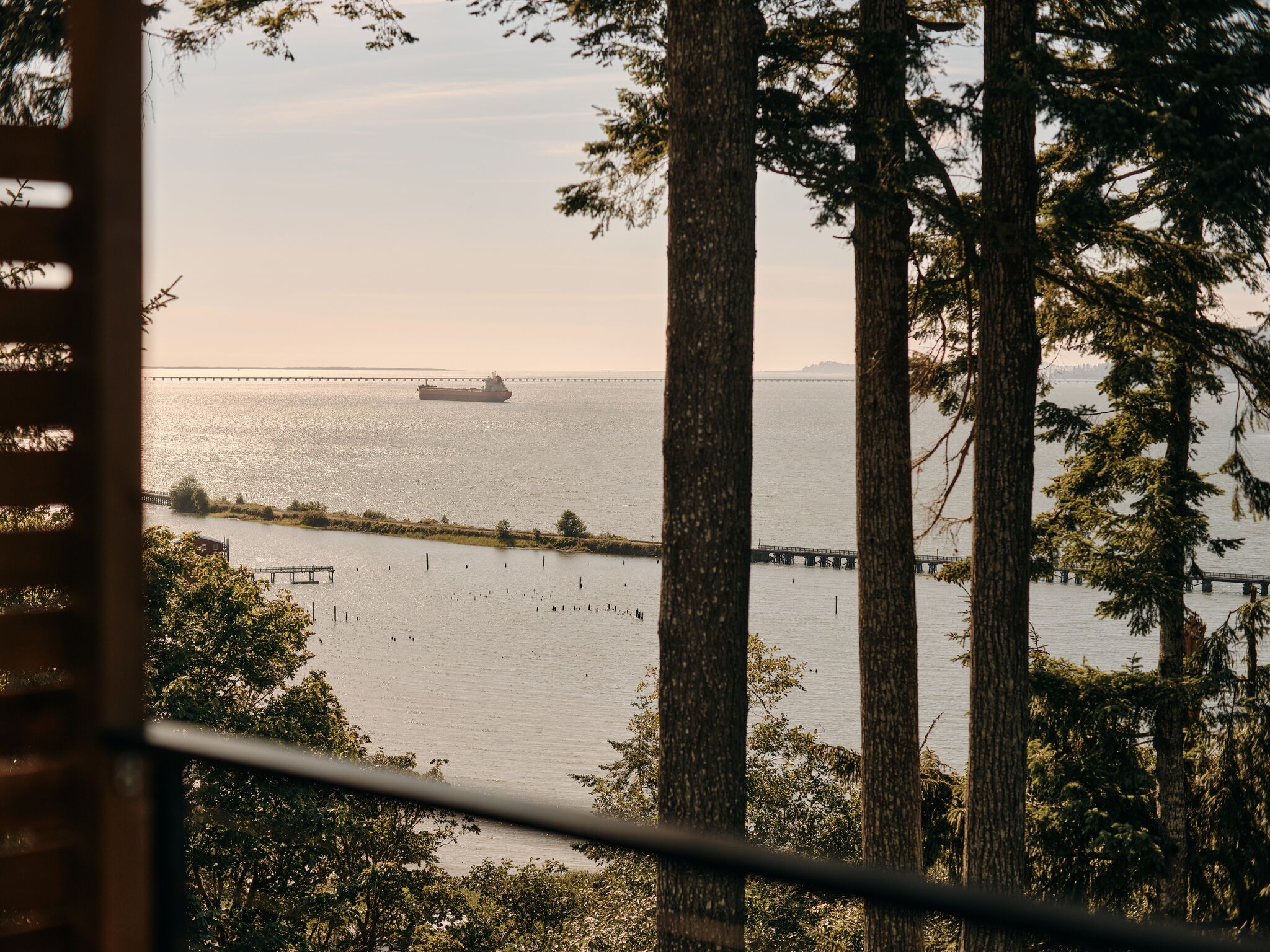 Vista de um corpo d'água com um navio, árvores e um cais.
