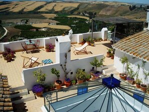 Terraço no telhado com área de estar externa, plantas em vasos e uma vista panorâmica do campo.