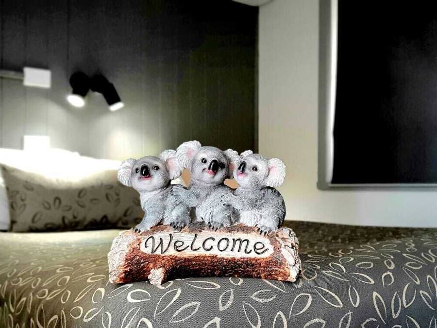 Roupa de alta qualidade, secretária