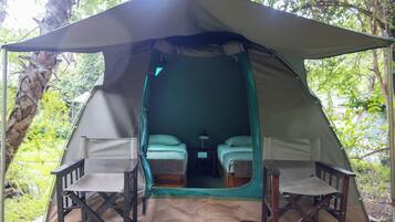 Tenda com duas camas e duas cadeiras, situada numa área arborizada.