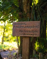 Uma placa de madeira com texto entalhado, ao fundo uma floresta.