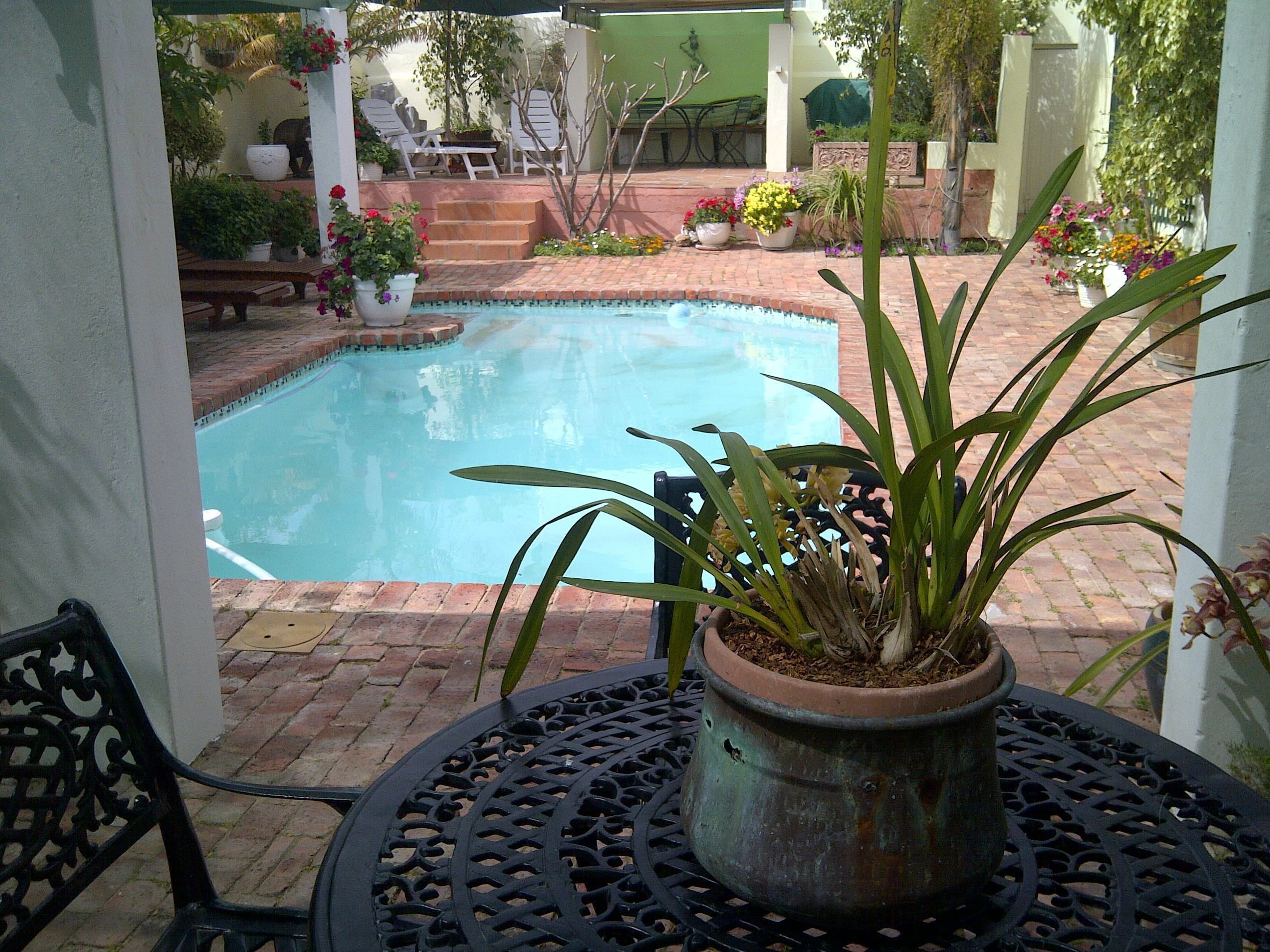 Piscina externa, espreguiçadeiras