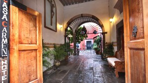 Corredor de hotel com portas de madeira, plantas em vasos e um banco.