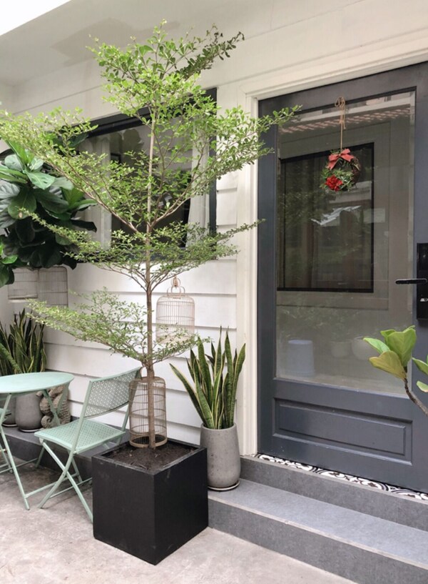 Lily's Hostel - Hô Chi Minh-Ville