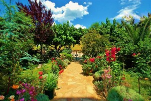 Jardim