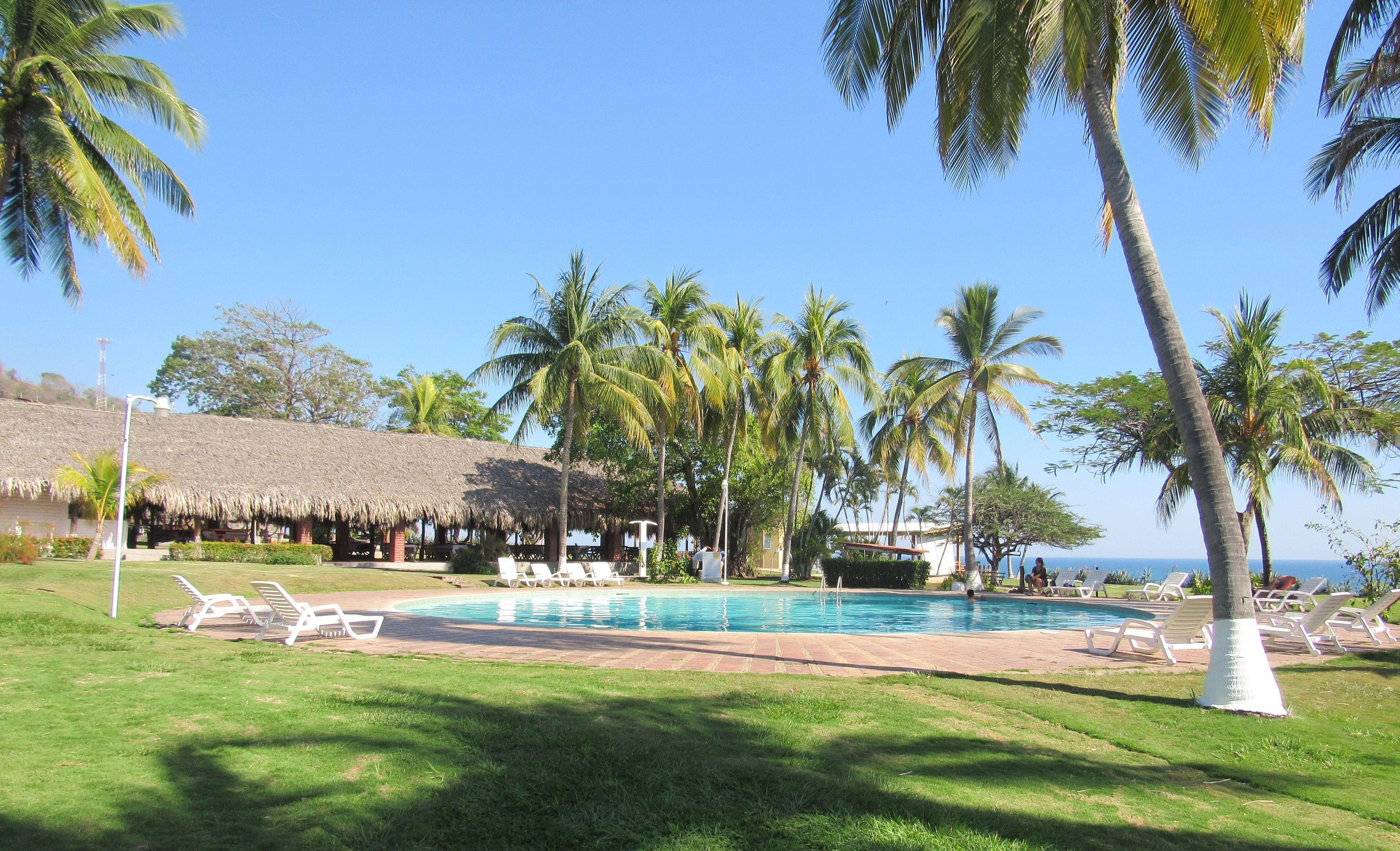 Uma área de piscina com espreguiçadeiras, palmeiras e um edifício com telhado de palha.