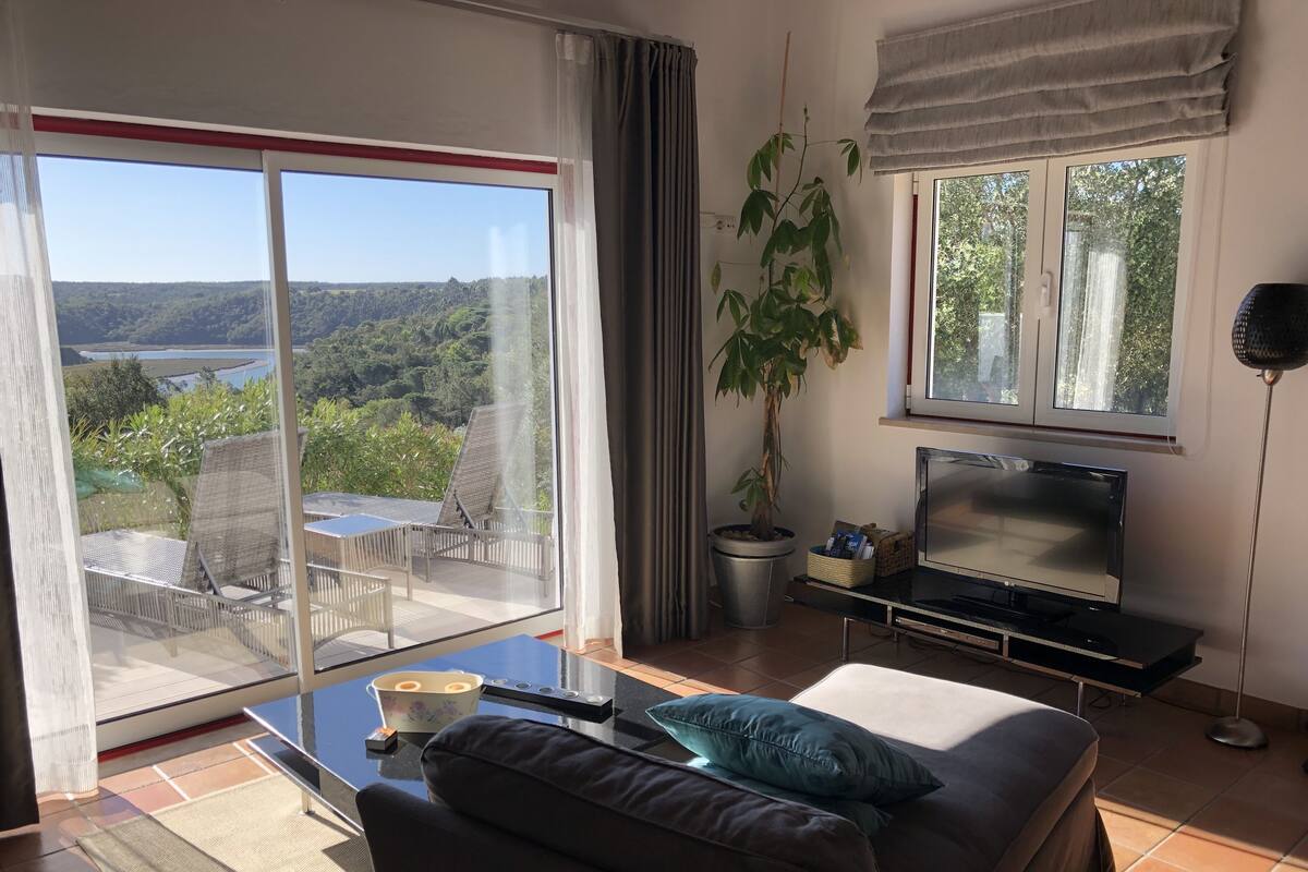 Uma sala de estar com sofá, televisão, planta e vista para uma varanda com mobiliário externo.