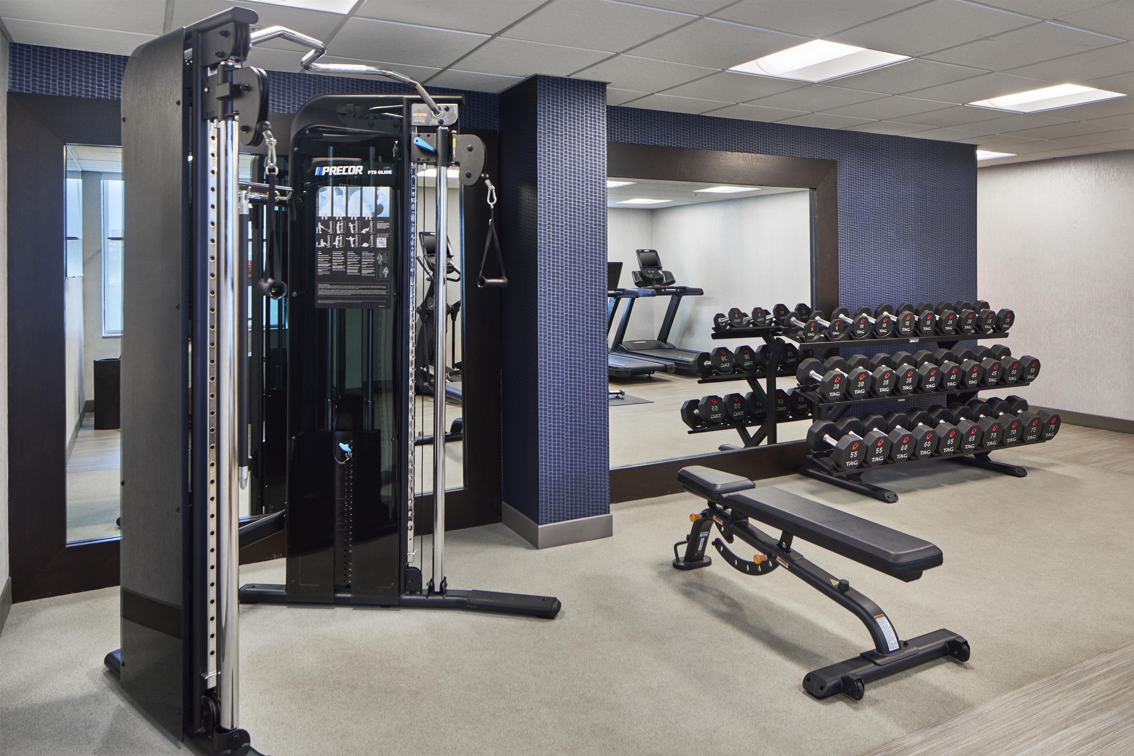 Uma academia com equipamentos de ginástica, incluindo suporte para agachamento, halteres e um banco.