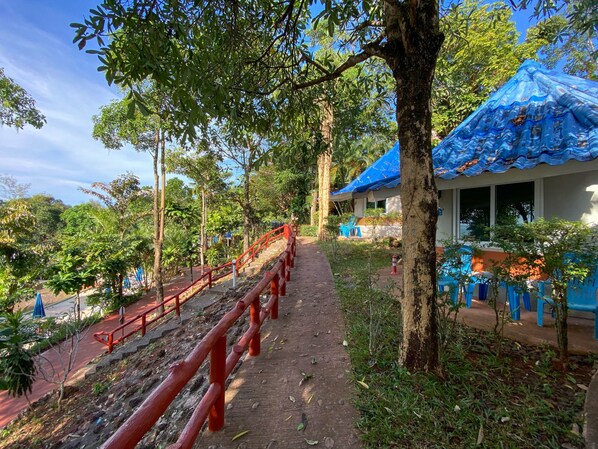 Um caminho leva a um edifício com telhado azul, cercado por árvores e vegetação.