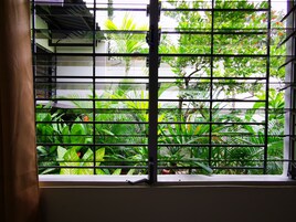 Vista da propriedade