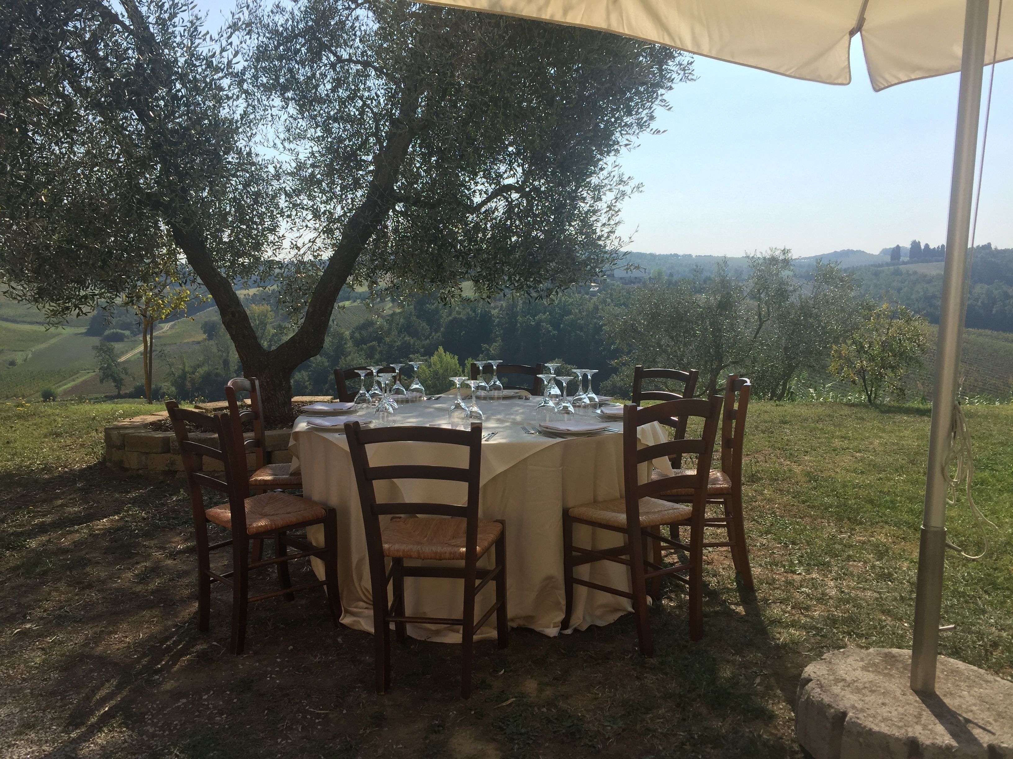 Mesa de jantar ao ar livre montada sob um toldo, rodeada por cadeiras, com uma vista panorâmica de colinas ondulantes e árvores ao fundo.