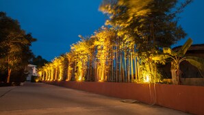 Rua noturna com bambus iluminados.