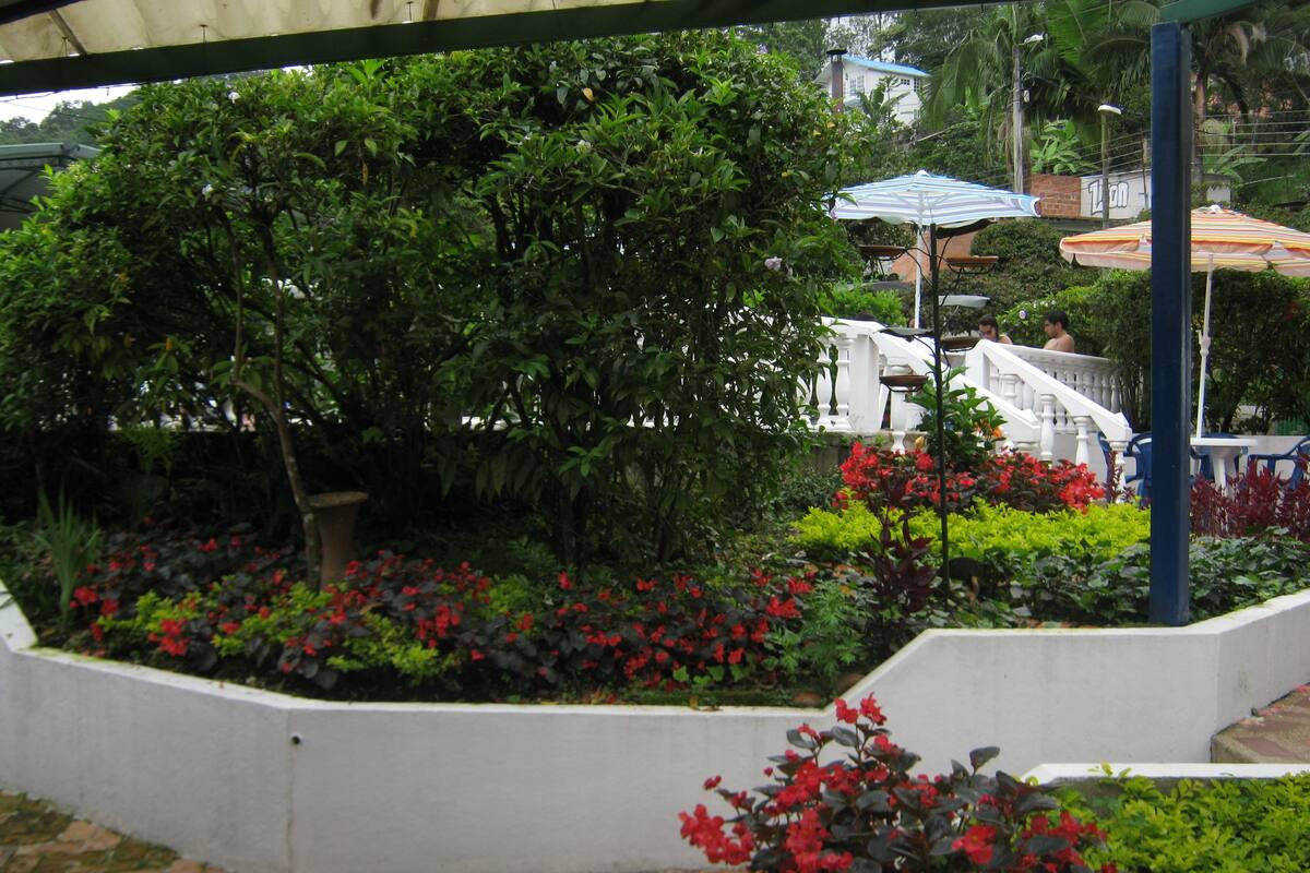 Um jardim com parede branca, flores vermelhas e um guarda-sol azul e branco listrado.