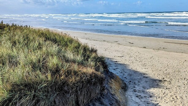 Uma praia com ondas, céu claro e grama.