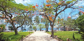 Vista para o jardim