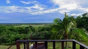 Um deck de madeira com guarda-corpo de metal, com vista para uma paisagem exuberante com palmeiras e céu claro.