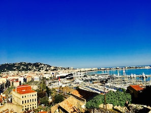 Vista da propriedade