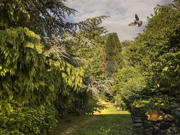 24 Ward Avenue - Hampshire