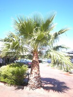 Terrenos do alojamento