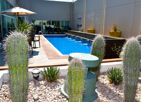 Uma área de piscina com deck de madeira, cercada por cactos e plantas em vasos.