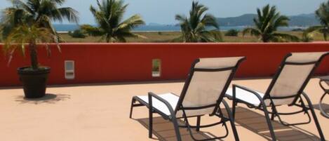 Terraço com duas cadeiras de descanso e uma palmeira em vaso.