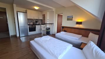 Apartamento grand, 2 quartos, para não fumantes, cozinha | Cozinha privada