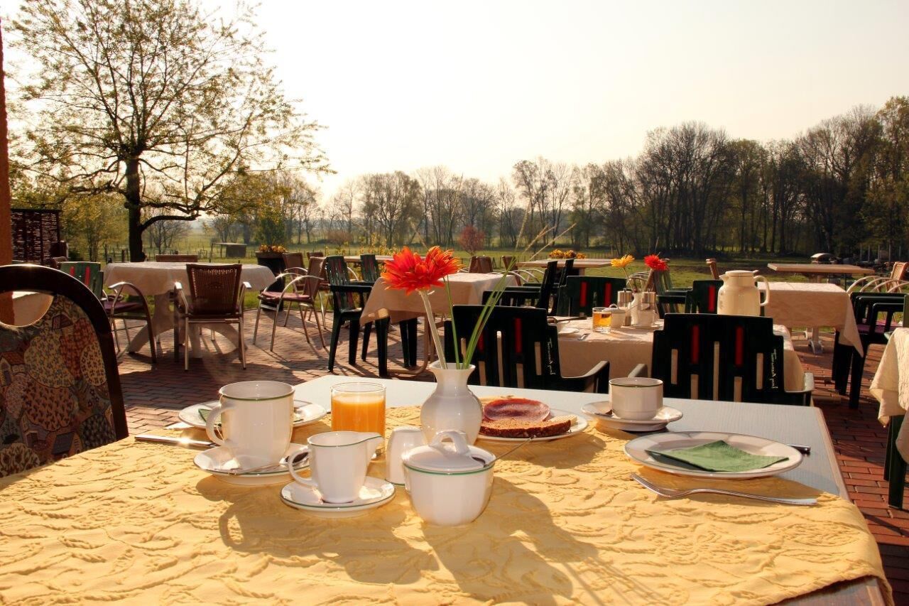 Uma área de refeições ao ar livre com mesas preparadas para o café da manhã, rodeada por cadeiras e vista para árvores e um campo.