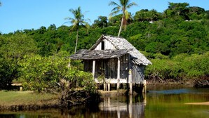 Uma casa de madeira rústica sobre pilares, junto a um rio calmo, cercada por vegetação exuberante e palmeiras.