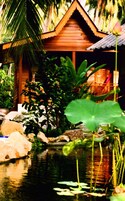 Standard Bungalow, Beachfront  (Fan with Hot Water) | Vista do quarto
