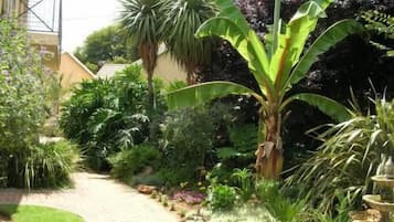 Jardim