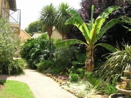 Jardim