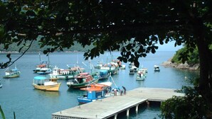 Um cais com vários barcos atracados em águas calmas, rodeado por vegetação.