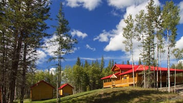 Uma cabana com telhado vermelho, cercada por altas árvores de pinheiro e um céu azul límpido.