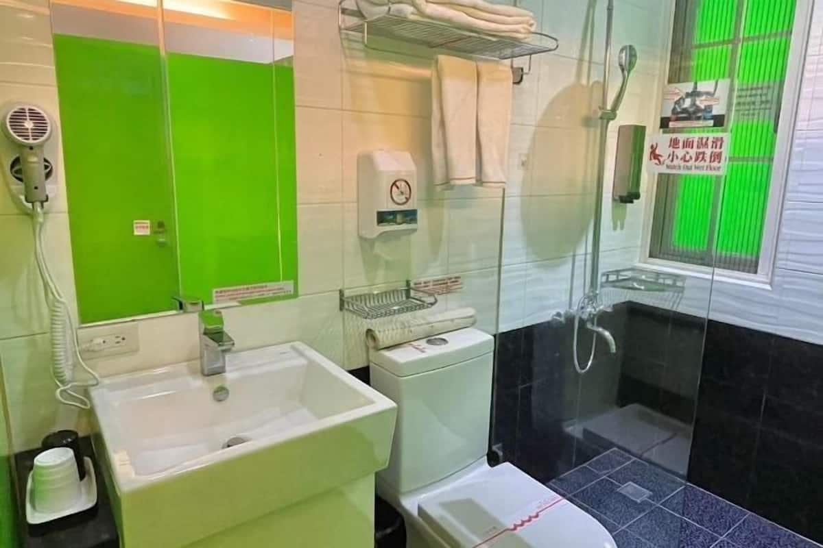 Chuveiro, secador de cabelo, toalhas de banho, shampoo