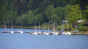 Uma marina com vários barcos atracados, cercada por uma floresta densa.