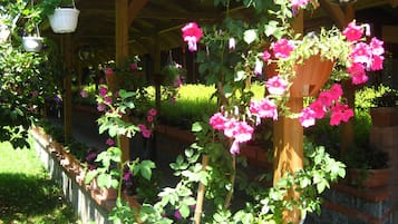 Jardim