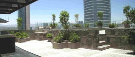Terraço no telhado com plantas em vasos e vista para edifícios altos.