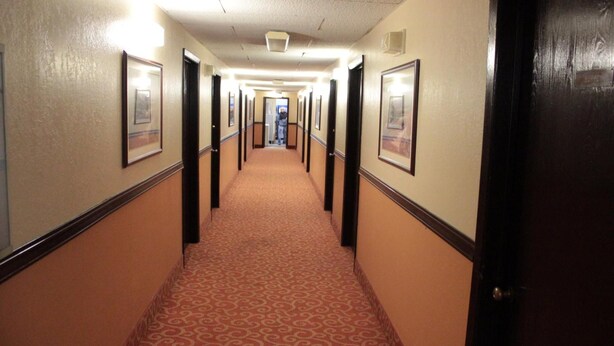 Corredor de hotel com quadros nas paredes, piso coberto por carpete e portas de ambos os lados.