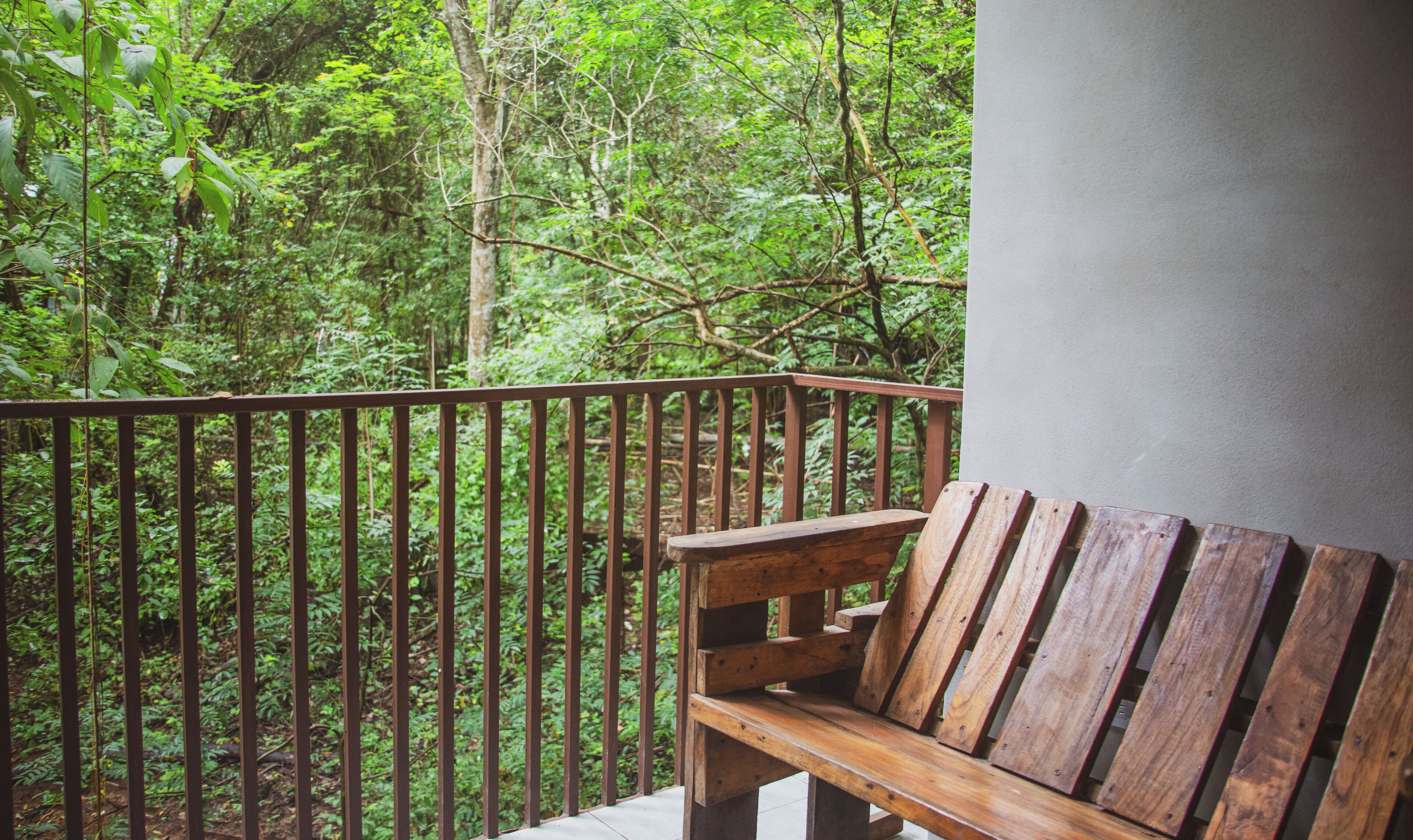 Um banco de madeira em uma varanda com guarda-corpo de metal, com vista para uma floresta densa.