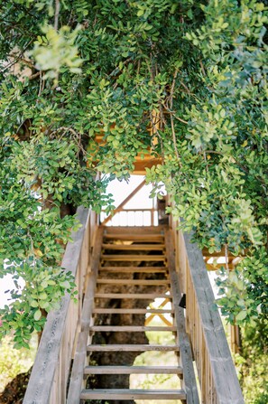 Casa na Árvore Deluxe, 1 cama king-size, vista para o oceano | Terraço/pátio interior