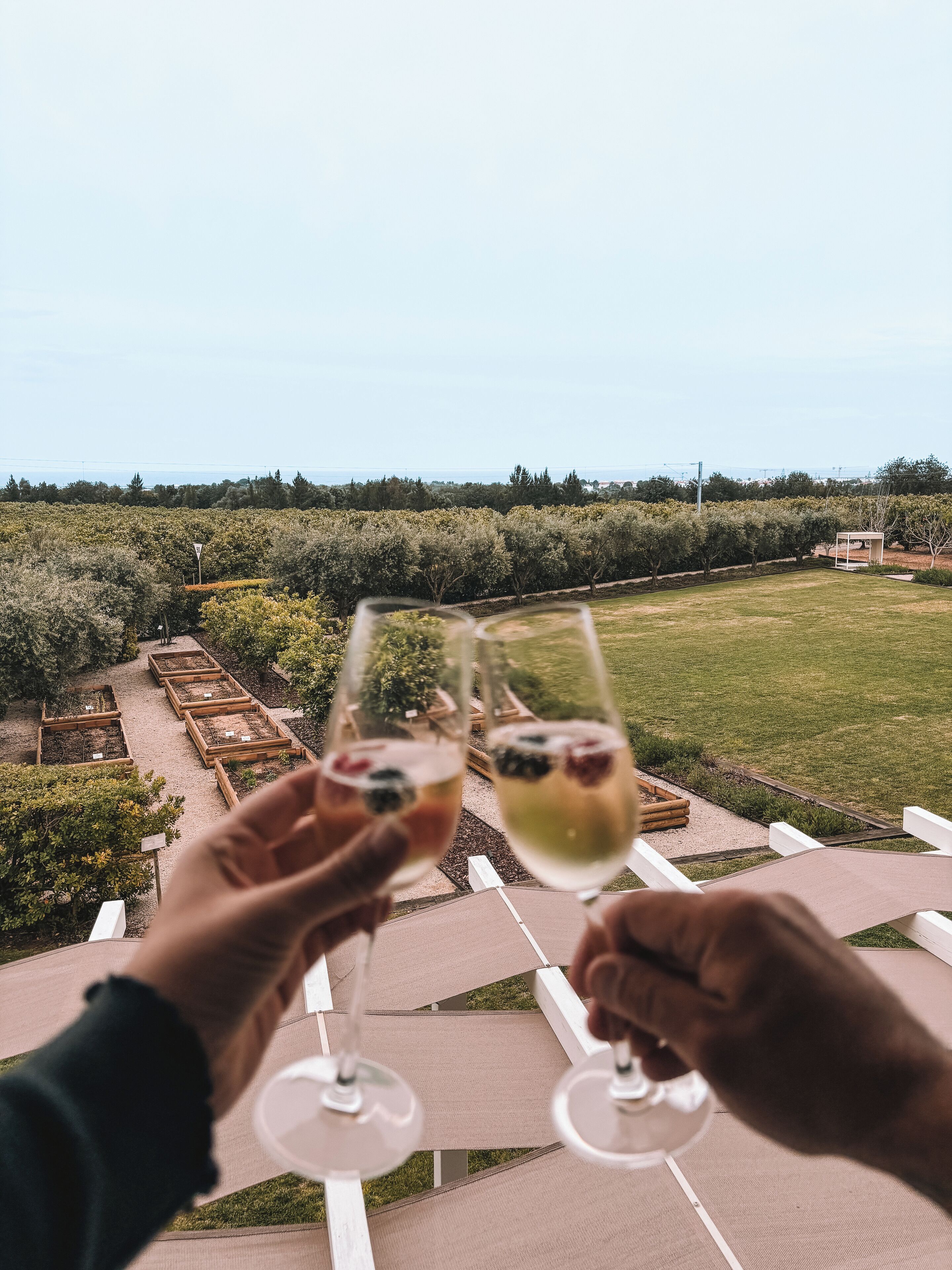 Duas mãos segurando copos de vinho com vista para um vinhedo ao fundo.