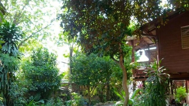 Uma área externa coberta com um caminho pavimentado, rodeada por vegetação densa e uma estrutura de madeira.