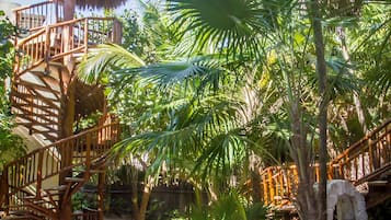 Terrenos do alojamento