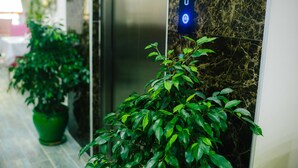 Um corredor com uma planta em vaso e painel de comando de elevador na parede.